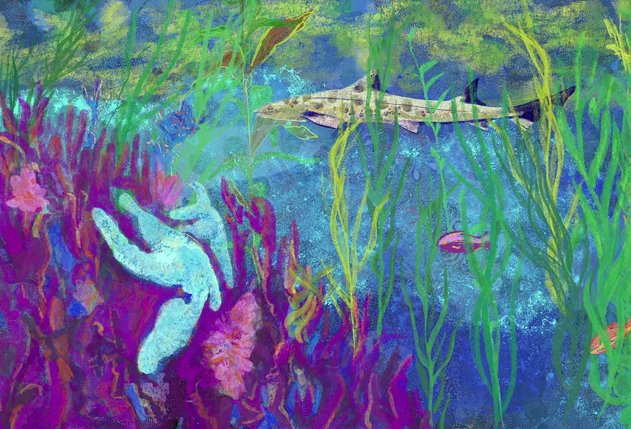 Resources – One Ocean Learn