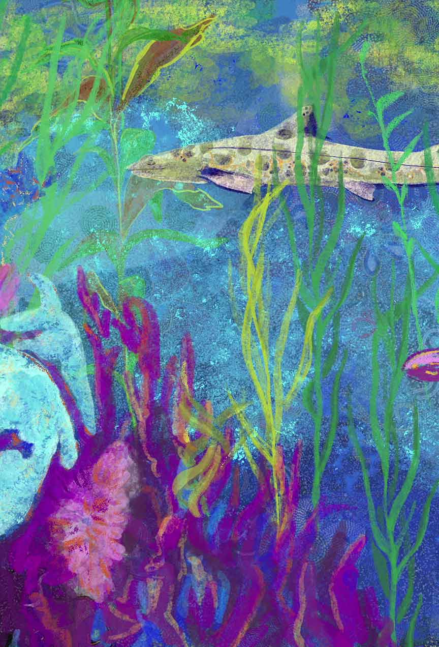 Resources – One Ocean Learn