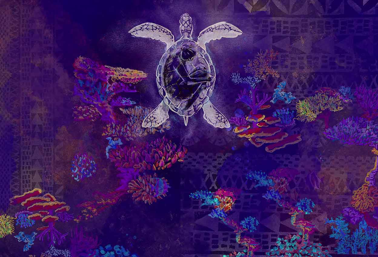 Learning Pathways – One Ocean Learn