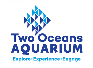 The Two Oceans Aquarium – One Ocean Learn